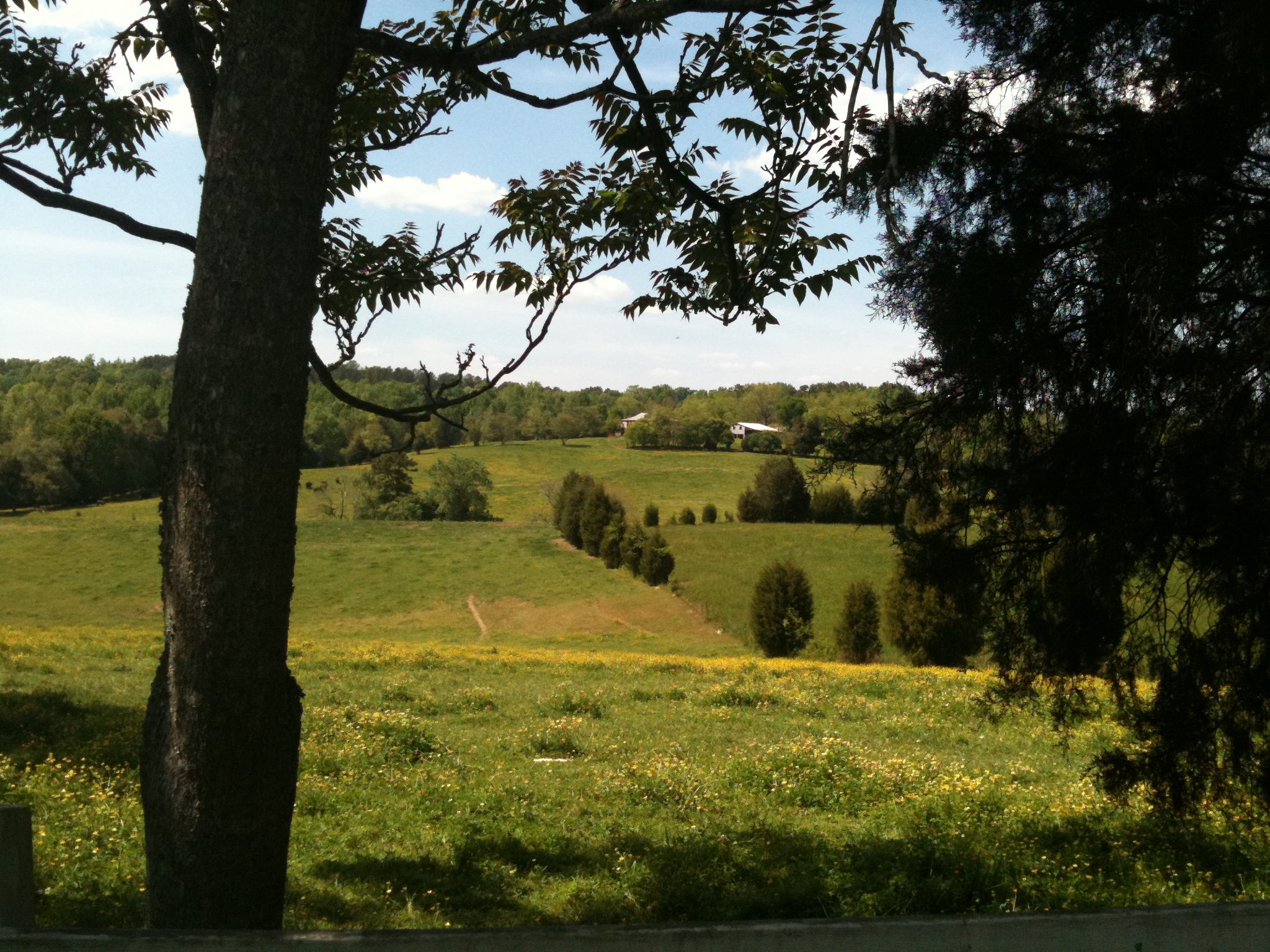 Funds can help save farmland from development - Charlotte Urban Institute