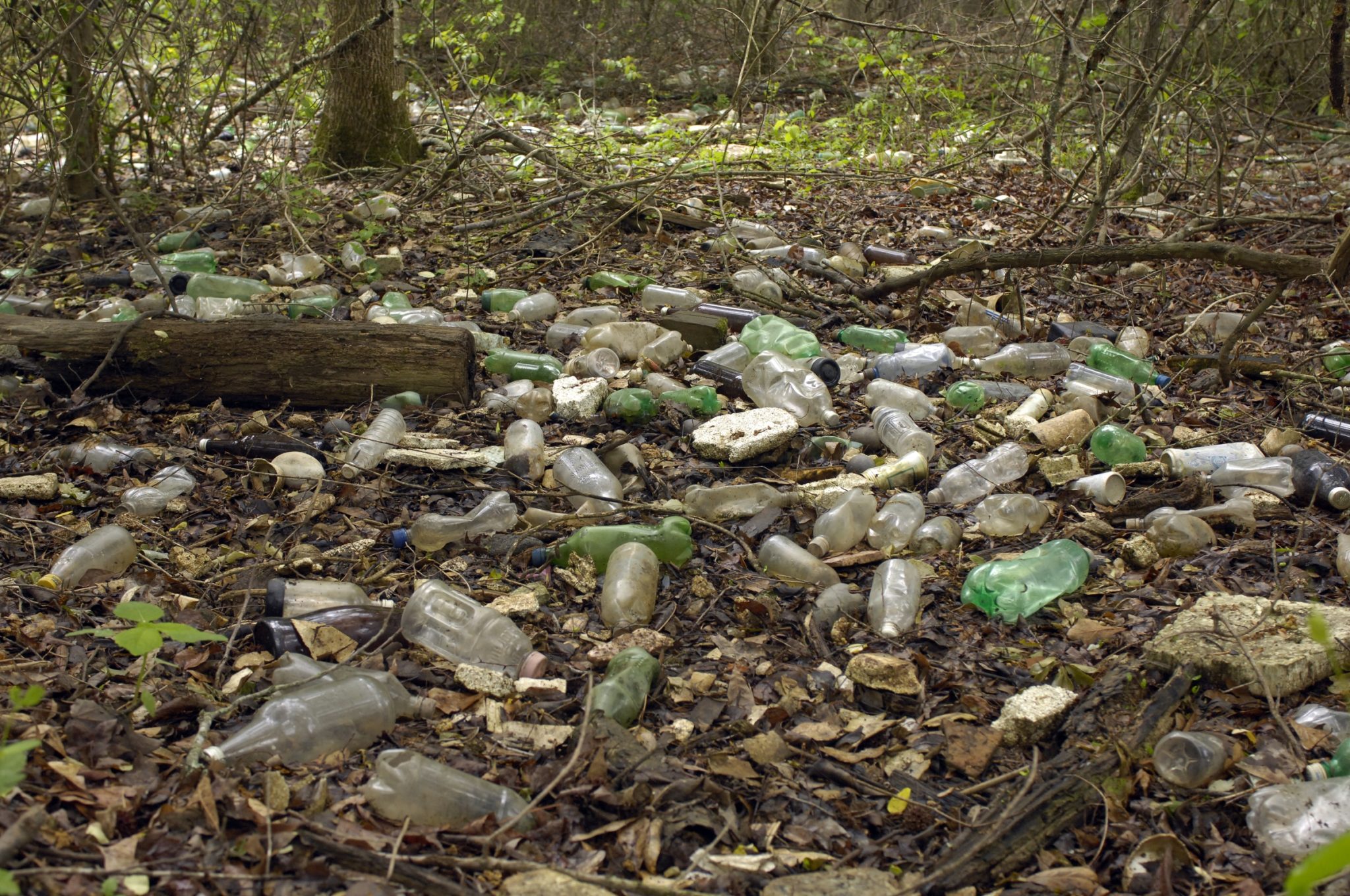 The biggest environmental issues facing Charlotte share a common root ...