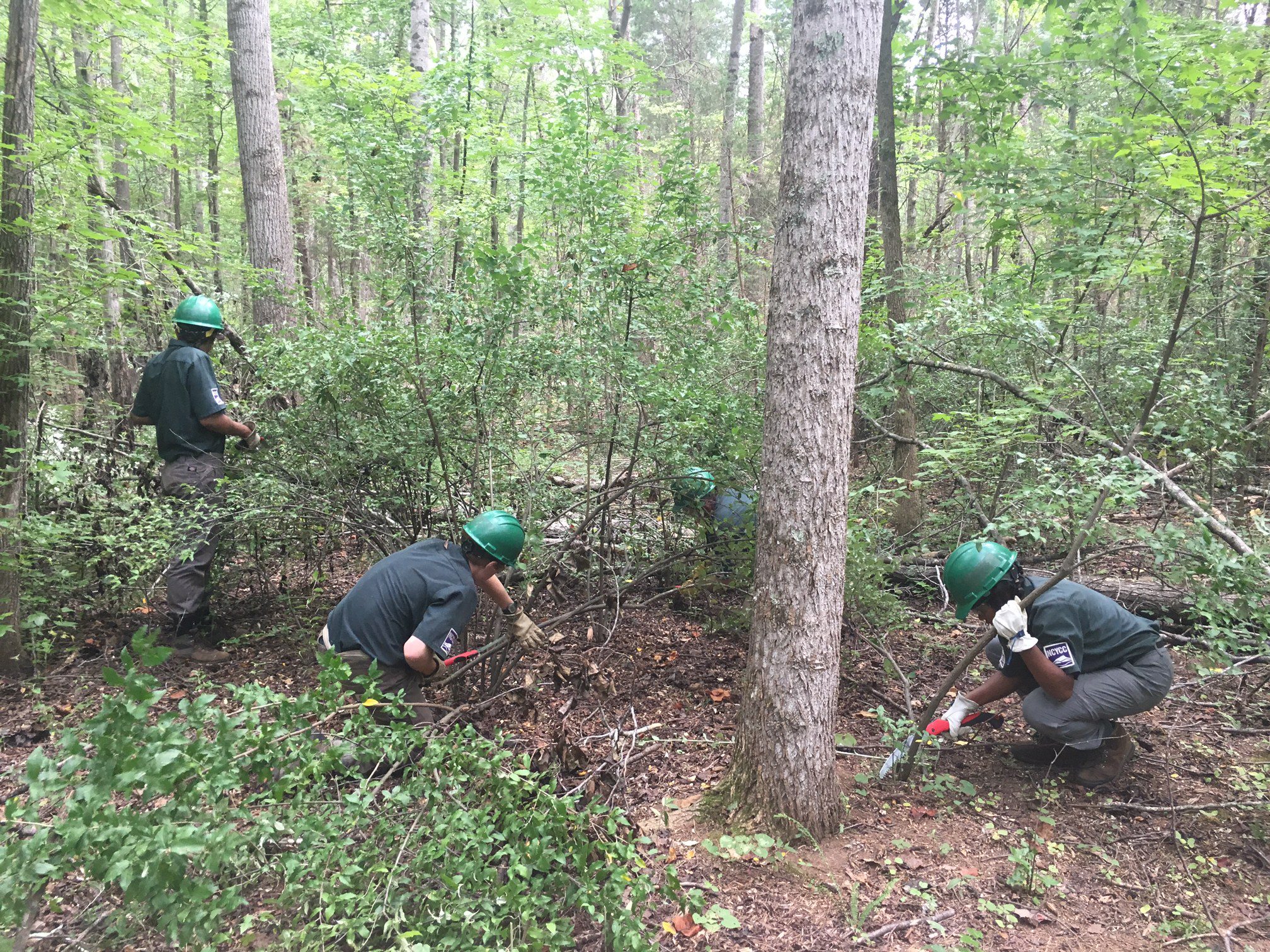 Cultivating a new generation of conservation leaders - Charlotte Urban ...