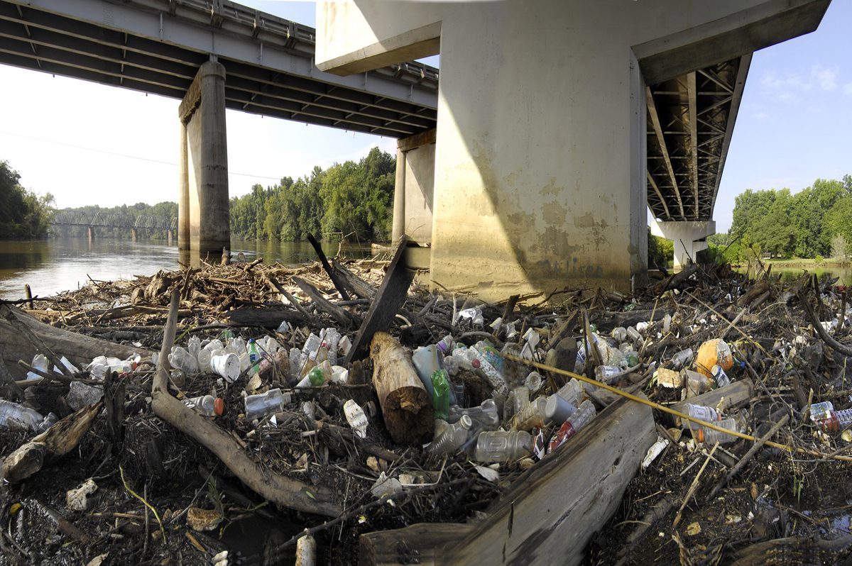 This week: Environmental justice speaker at UNC Charlotte - Charlotte ...