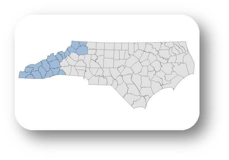 Urban Growth Mapping & Forecasting: 1976-2030, Western NC County ...