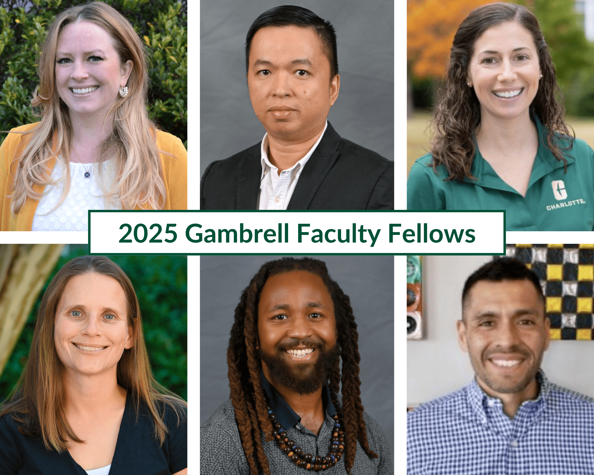 2025 Gambrell Faculty Fellows to Study Charlotte Region's Pressing ...